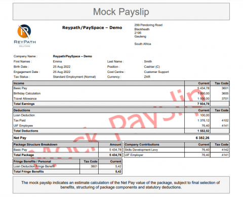How to: Create Mock Pay Slip - ReyPath Solutions